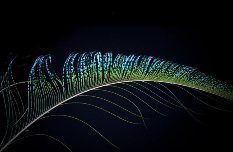 Treasures of Versailles – Thorough Bass