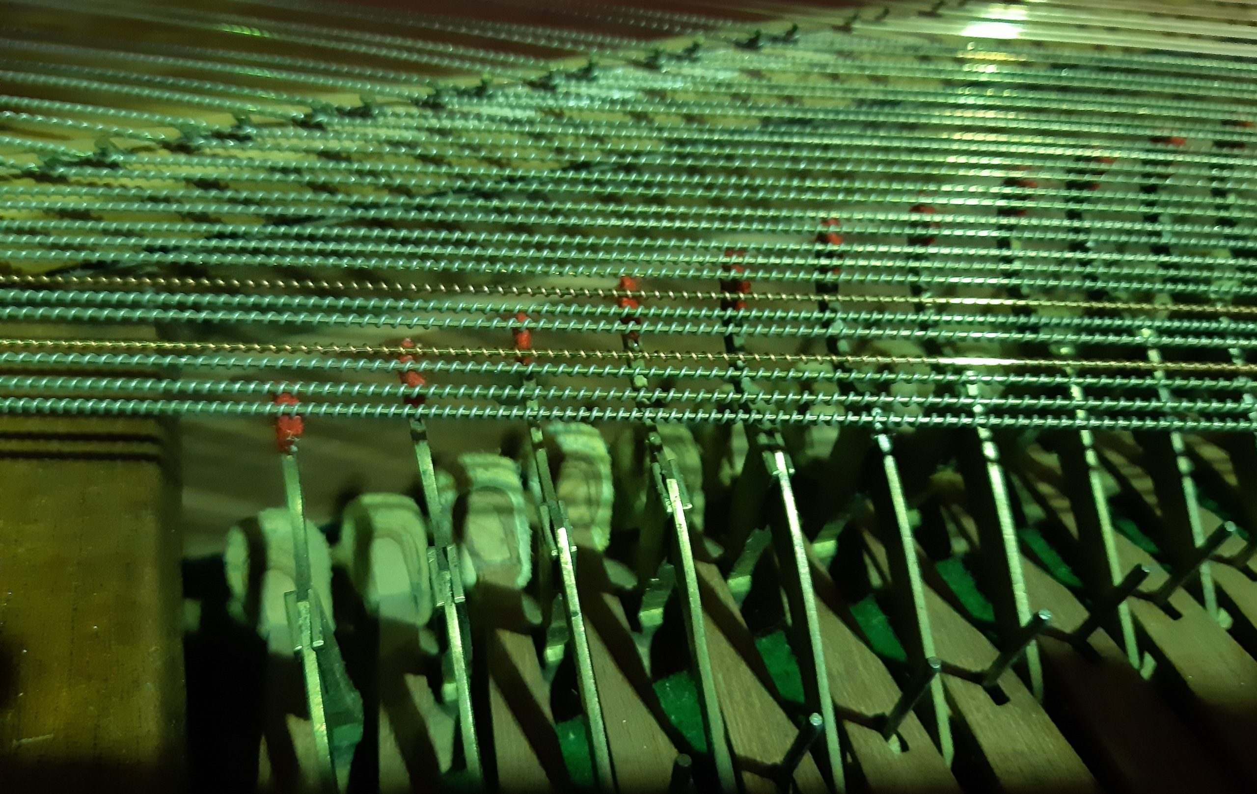 Trendsetters – Thorough Bass